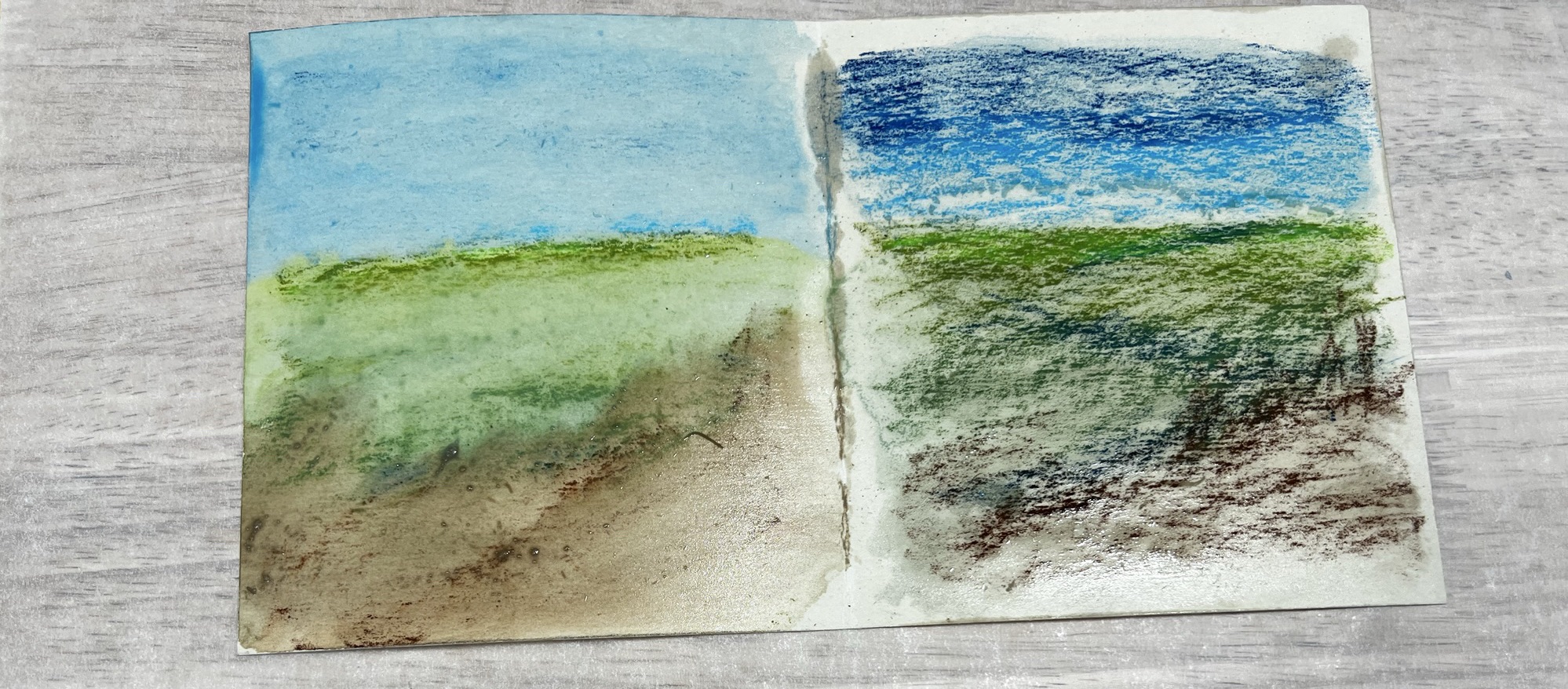 Monte Art – Water Soluble Oil Pastels Review | Caprise Cooper Art